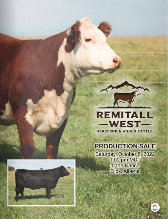 REMITALL WEST | Welcome